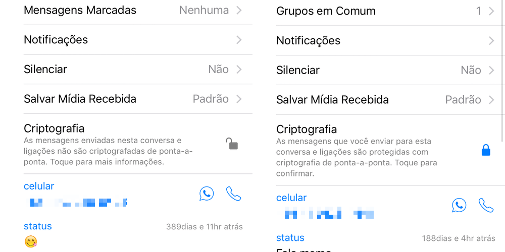 O WhatsApp adotou a criptografia de ponta-a-ponta. O que isso significa? ⁄ Manual do Usuário